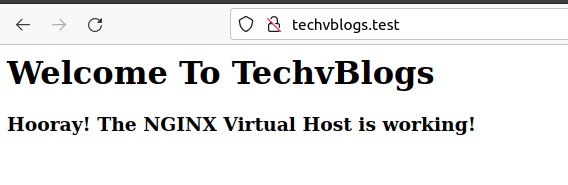 How to manage and use Nginx Virtual host in Ubuntu - TechvBlogs