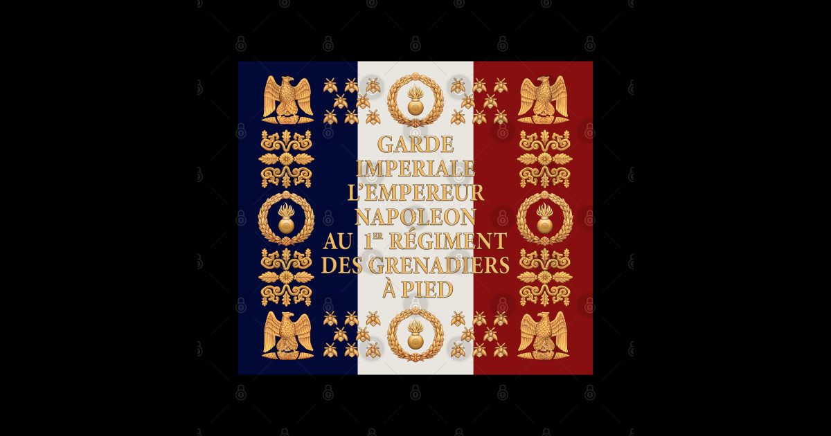 Napoleonic French "1er Garde Imperiale" flag - Napoleonic - Posters and ...