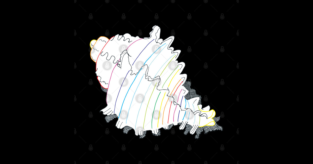 Rainbow Conch Sea Shell Fine Line Art Pen Drawing - Conch Shell ...