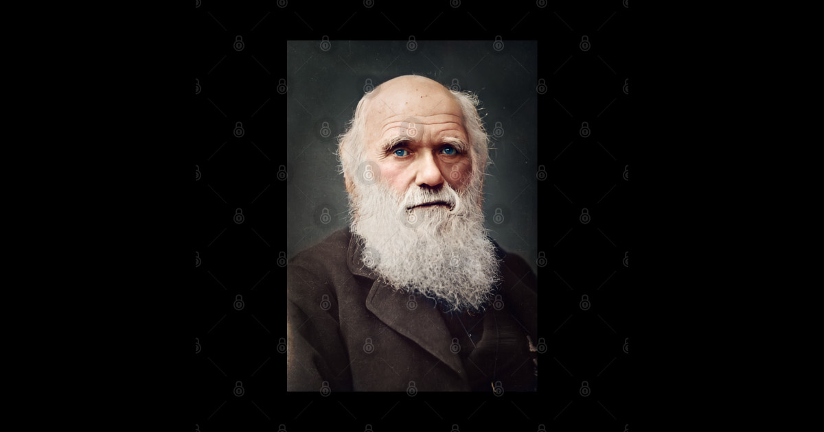 Charles Darwin - Darwin - Sticker | TeePublic