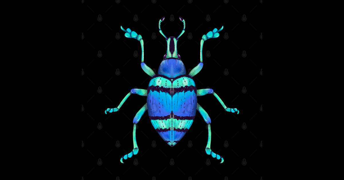 Blue and Green Glitter Weevil Beetle - Blue Weevil - Sticker | TeePublic