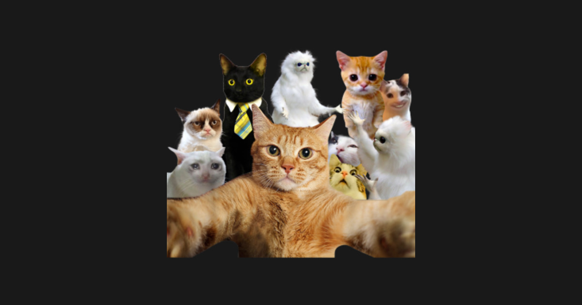 El Gato Crying Cat Selfie & Funny Meme - El Gato Crying Cat Selfie - T ...