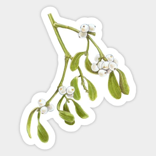 Mistletoe Watercolor - Mistletoe - Sticker | TeePublic