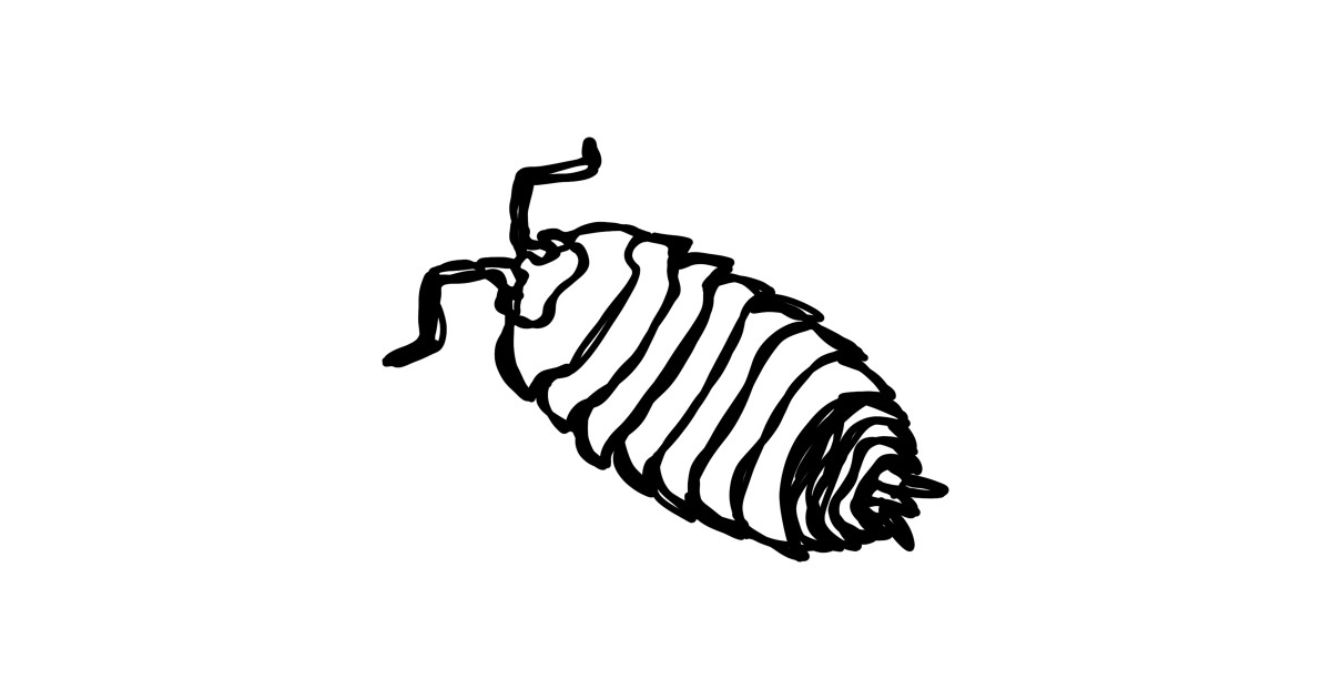 pill bug roly poly line drawing - Roly Poly - T-Shirt | TeePublic