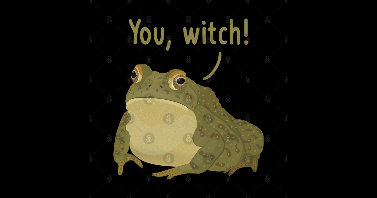 You, witch! Halloween cursed frog toad - Toad - Pin | TeePublic