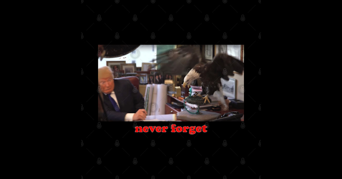 TRUMP Vs. EAGLE: NEVER FORGET - Trump - Sticker | TeePublic
