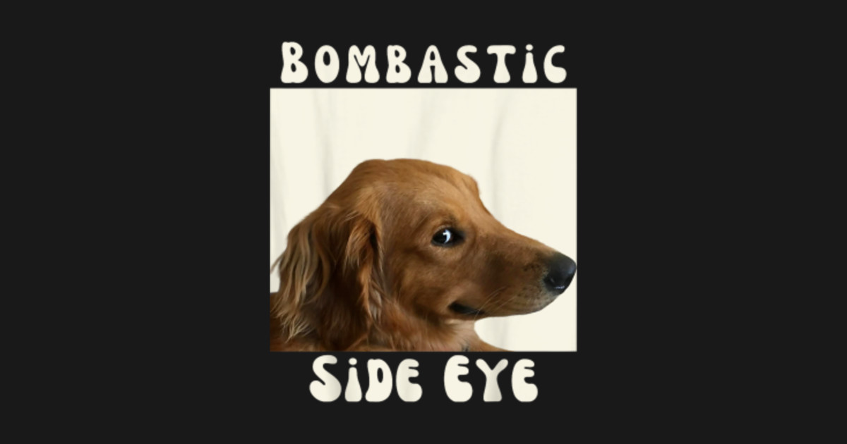 Bombastic Side Eye Dog & Meme Funny - Bombastic Side Eye Dog - T-Shirt ...