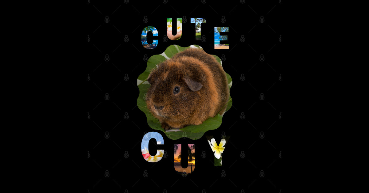 Cute Cuy - Cuy - Sticker | TeePublic
