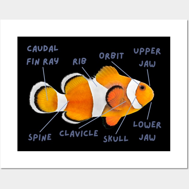 Anatomy of a Clownfish And Funny Labels - Anatomy Of A - Posters and ...