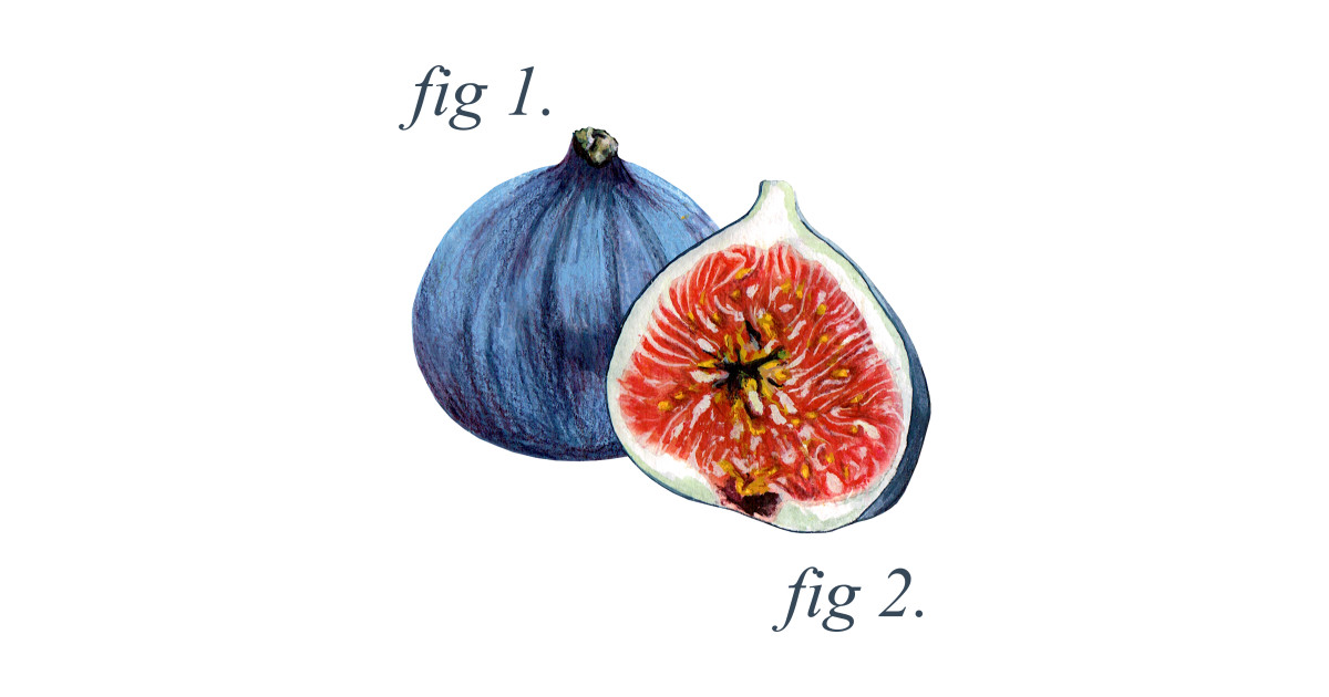 Annotated Figs diagram - Science Joke - T-Shirt | TeePublic