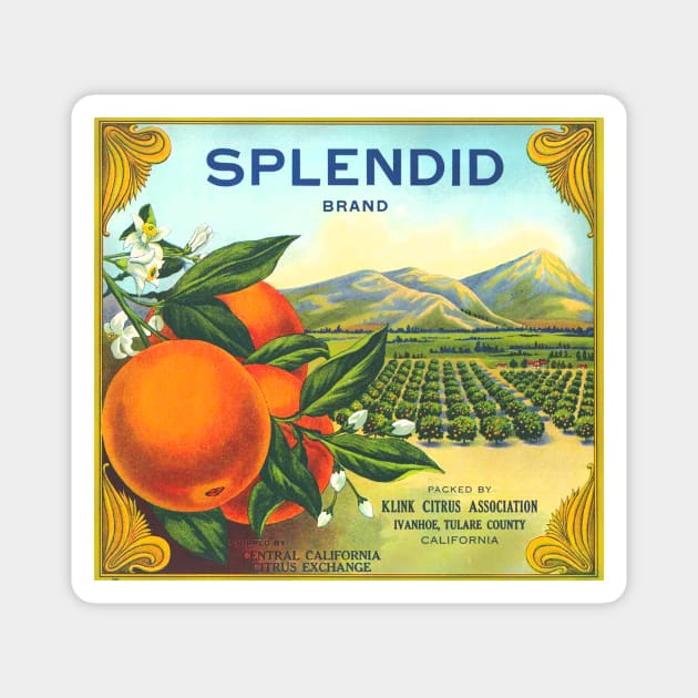 Splendid Brand Oranges Crate Label - Vintage Crate Label - Magnet ...