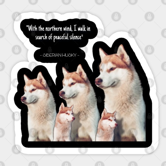 Siberian Brown husky - Siberian Brown Husky Gifts - Sticker | TeePublic
