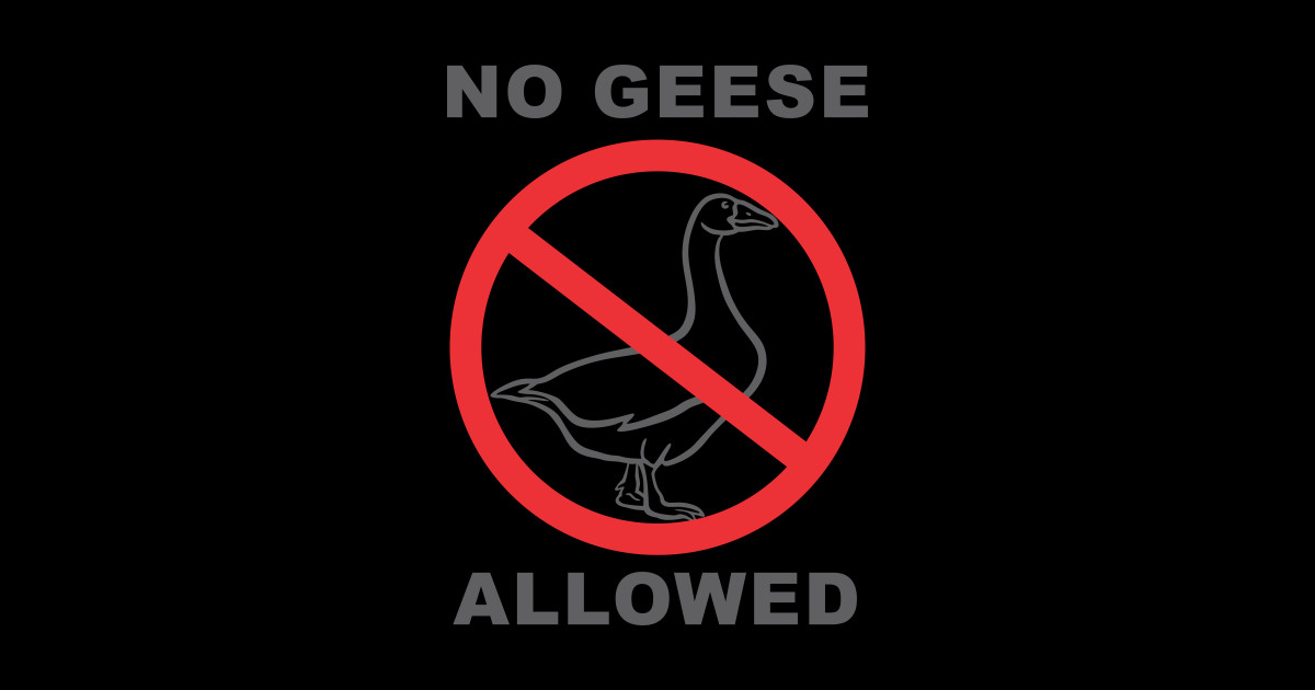No Geese Allowed - Geese - Sticker | TeePublic
