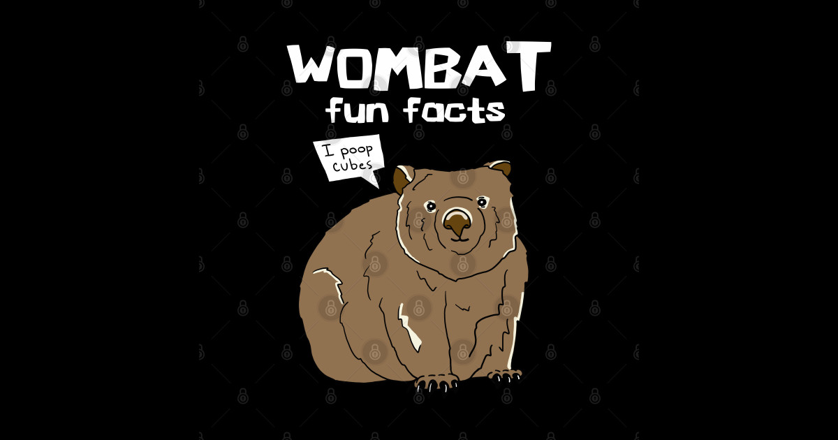 Wombat Fun Facts - Wombat - Sticker | TeePublic Wombat Fun Facts - Wombat - Sticker | TeePublic
