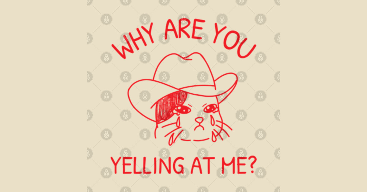 Sad Cowboy Cat Meme (Why Are You Yelling At Me) - Cowboy Cat - T-Shirt ...