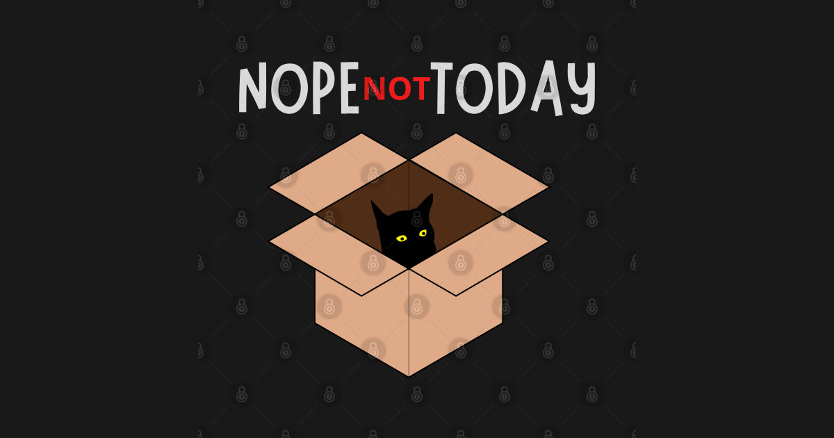 cats box - Nope Not Today - T-Shirt | TeePublic