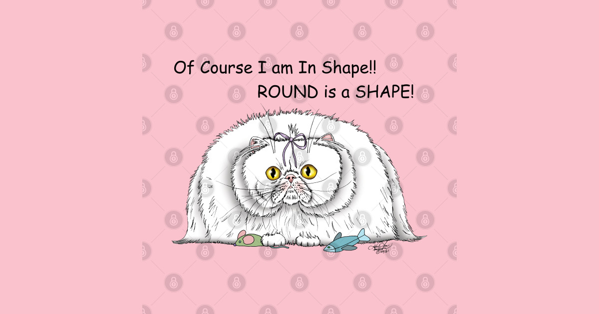 Round is a Shape - Funny Cat - T-Shirt | TeePublic