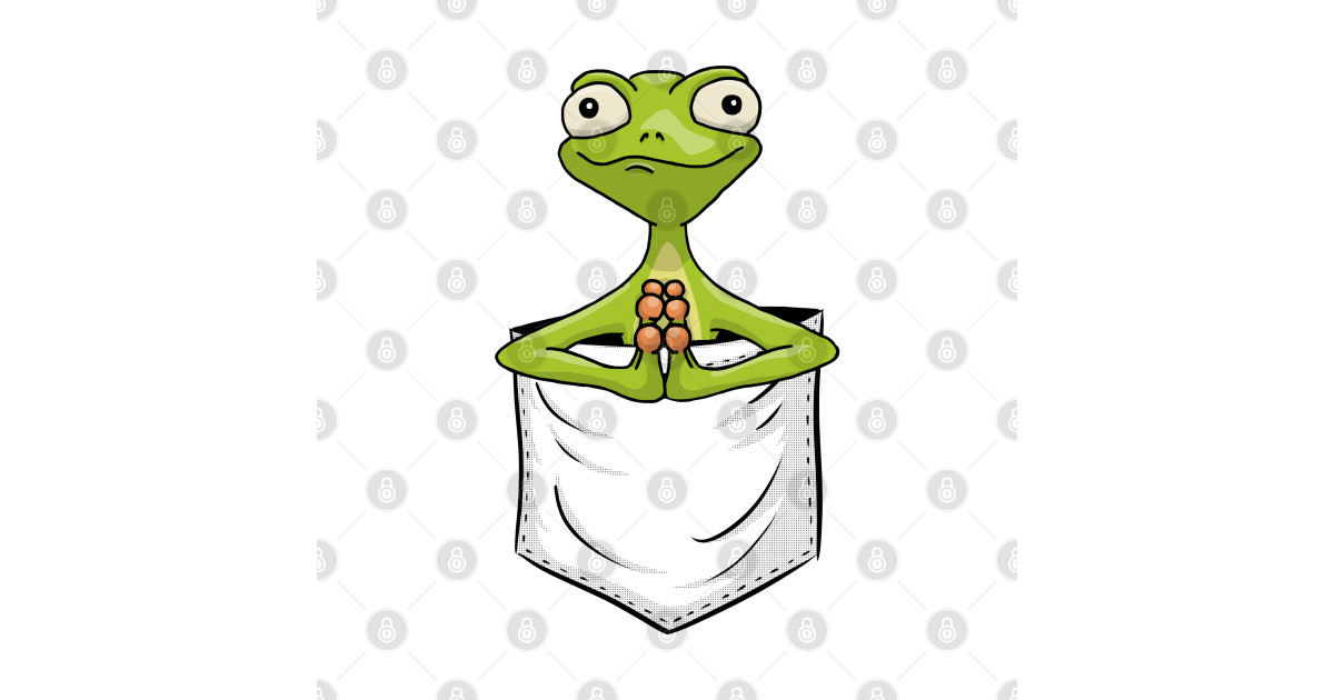 Zen Art Yoga Pose Frog | Gecko Reptile In Pocket - Gecko - T-Shirt ...