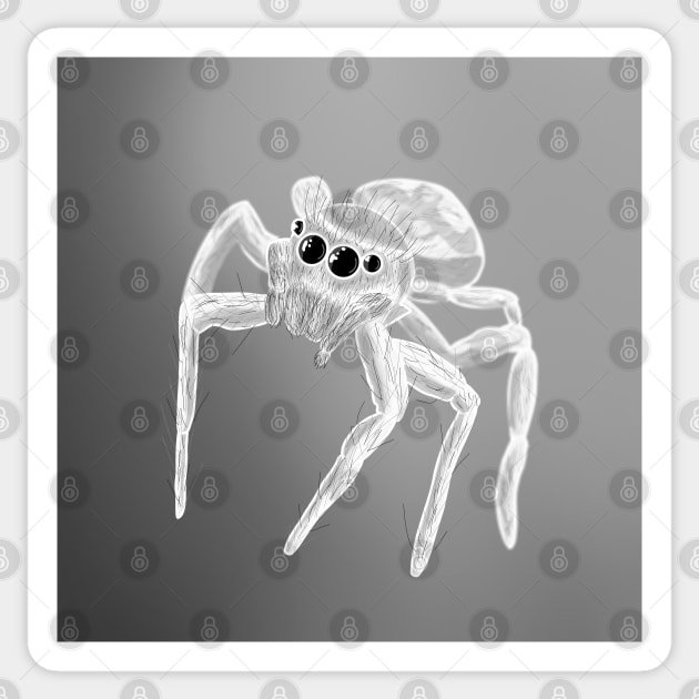Jumping Spider Drawing V30 (White) - Jumping Spider - Sticker | TeePublic