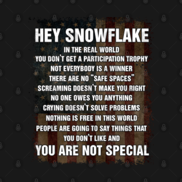 Hey Snowflake You Are Not Special USA Flag Tshirt - Snowflake - T-Shirt ...