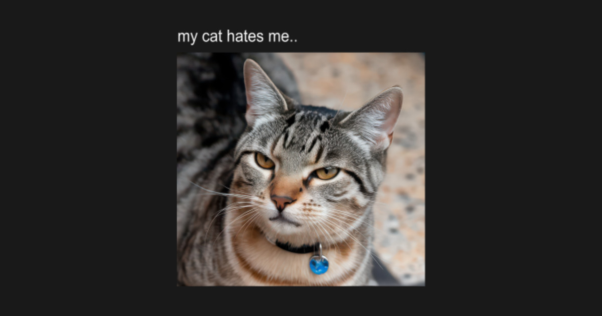 My Cat Hates Me & Funny Meme - My Cat Hates Me - T-Shirt | TeePublic