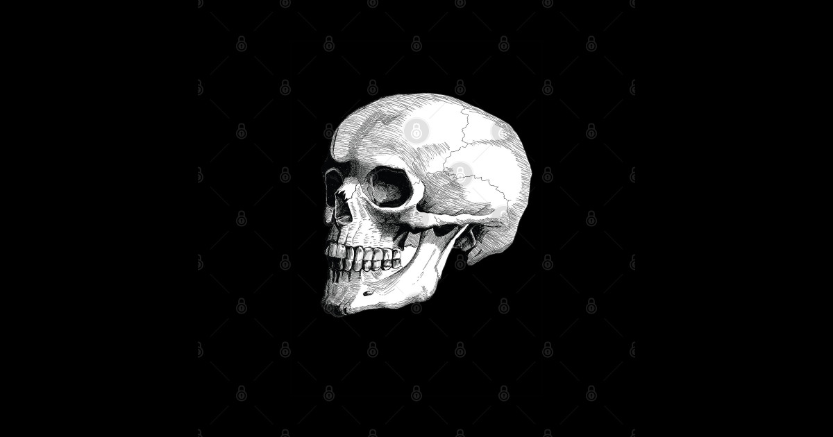 Skull - Skeleton - Sticker | TeePublic