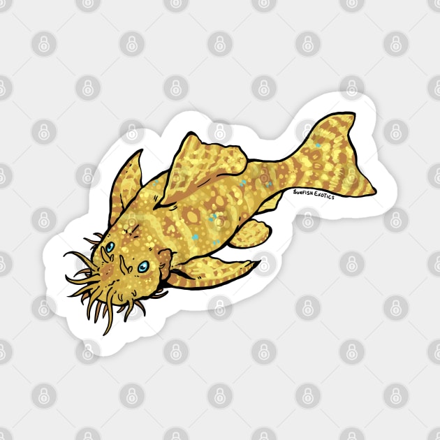 Bristlenose Pleco - Lemon - Pleco - Sticker | TeePublic