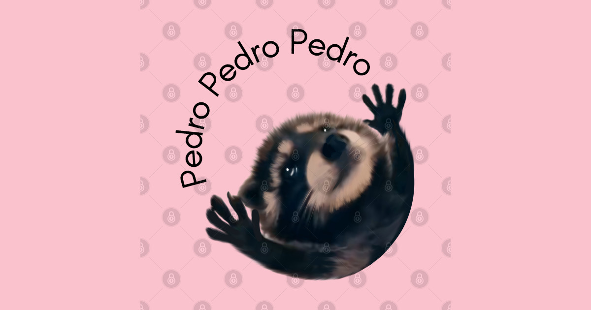 Funny Pedro raccoon meme viral video - Meme Sticker - T-Shirt | TeePublic
