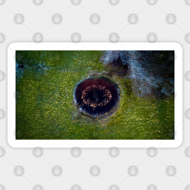 The Eye of Reed - Reed - Sticker | TeePublic