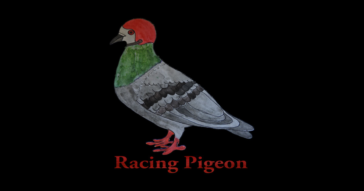Racing Pigeon - Racing Pigeon - Sticker | TeePublic