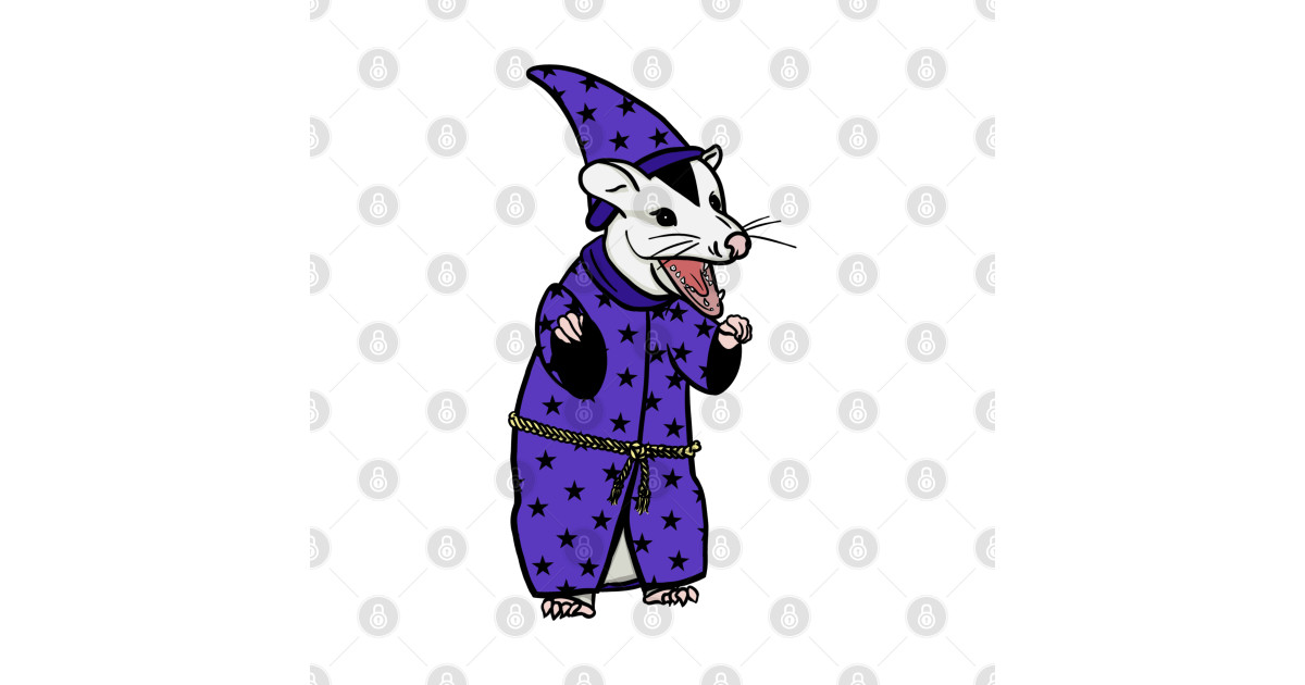 Angry Possum Wizard - Opossum - T-Shirt | TeePublic