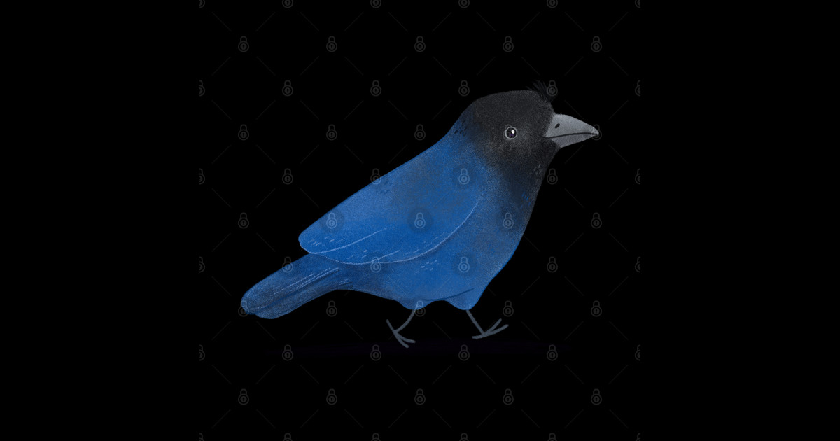 Azure Jay Bird - Azure Jay - Sticker | TeePublic