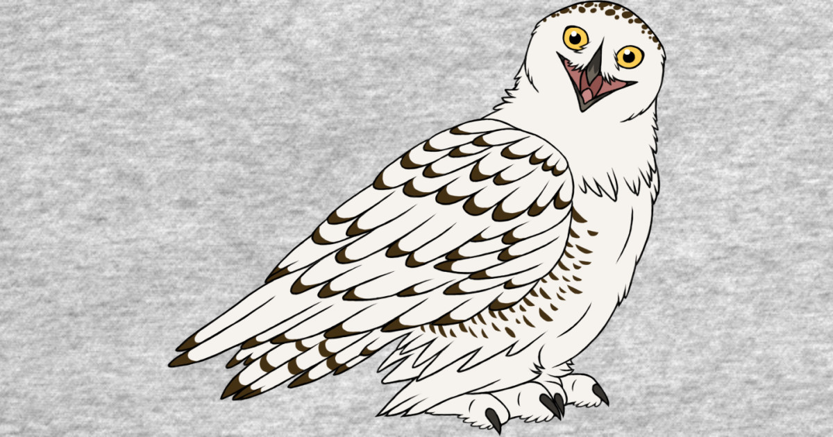 ORLY Owl - Owl - Hoodie | TeePublic