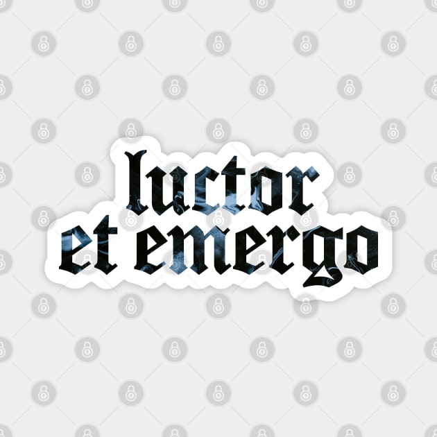 emergo logo