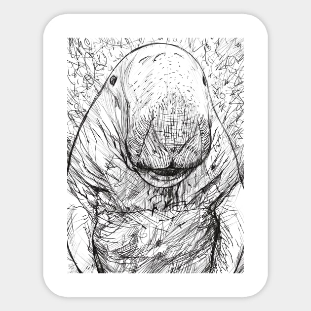 DUGONG pencil portrait .1 - Dugong - Sticker | TeePublic