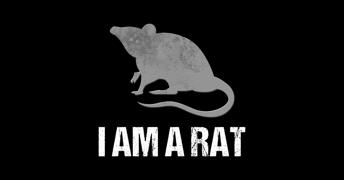 I am a rat - Rat Quote - Sticker | TeePublic