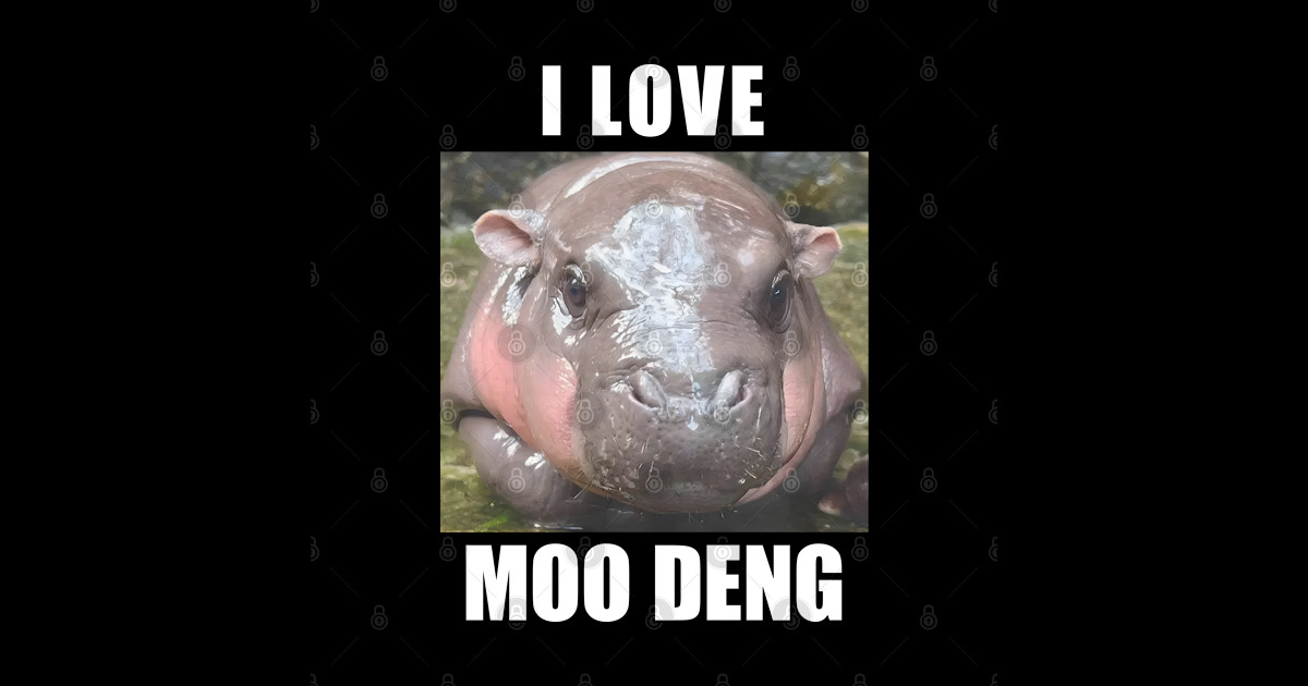 Cute Baby Hippo Moo Deng Bouncy Pig in Thai Hippopotamus - Moo Deng ...