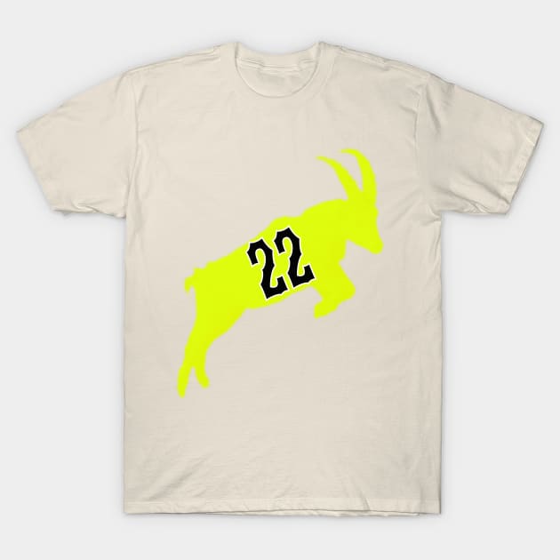 caitlin clark GOAT 22 - Caitlin Clark - T-Shirt | TeePublic