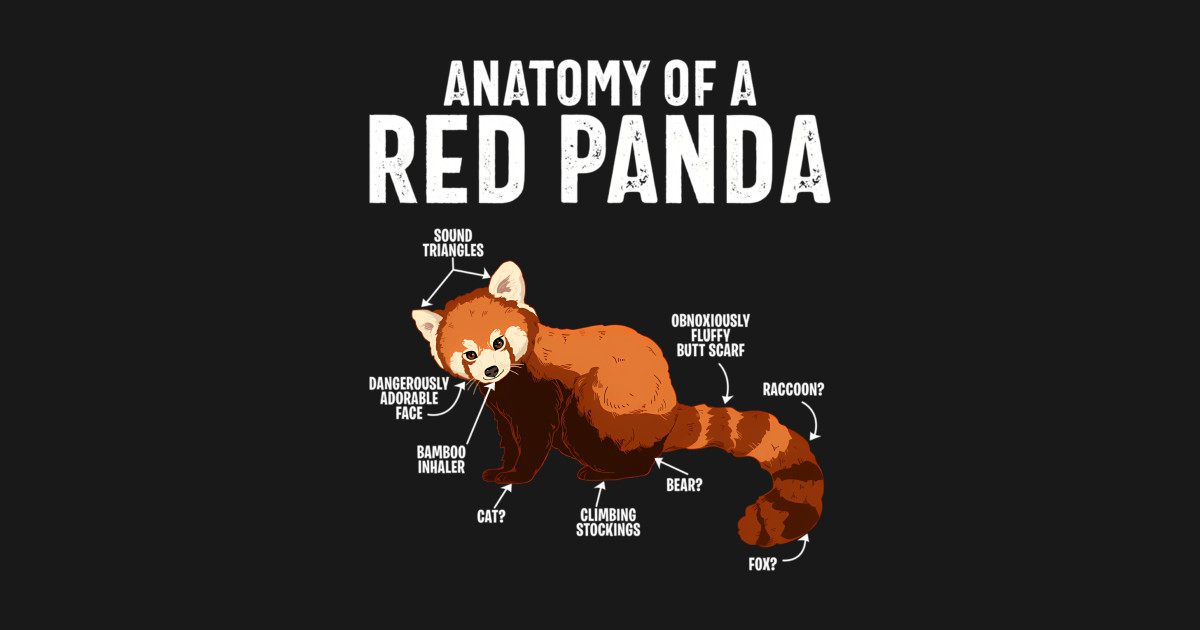 Red Panda Red Pandas - Red Panda - T-Shirt | TeePublic