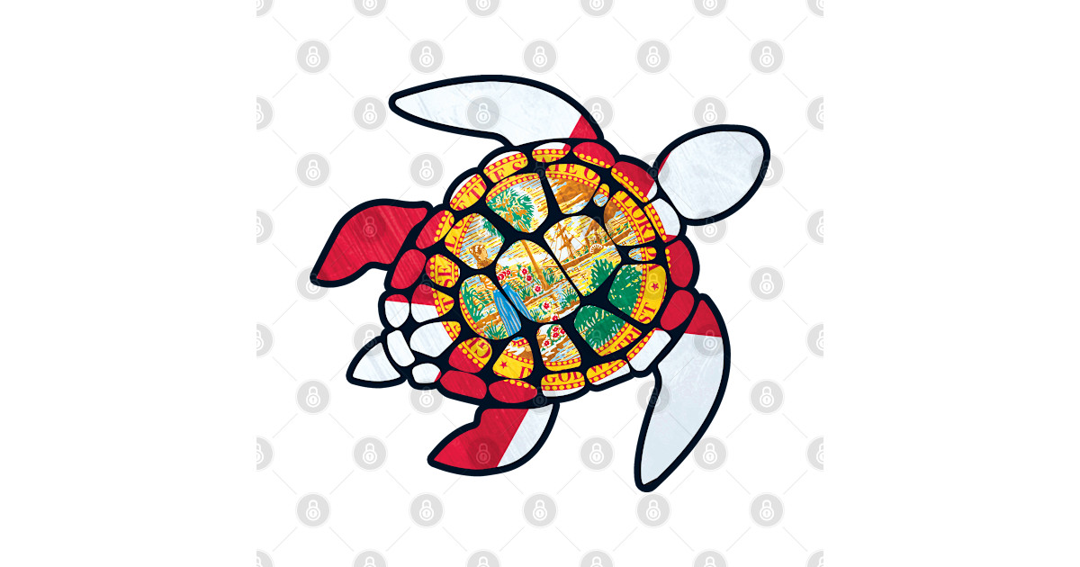 Sea Turtle Florida Flag Plastic Free Save The Sea Colorful Rainbow ...