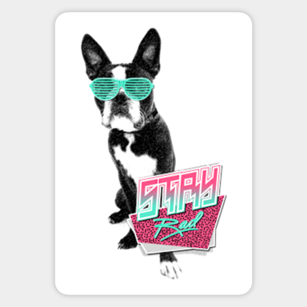 Stay Rad - French Bulldog - Sticker | TeePublic