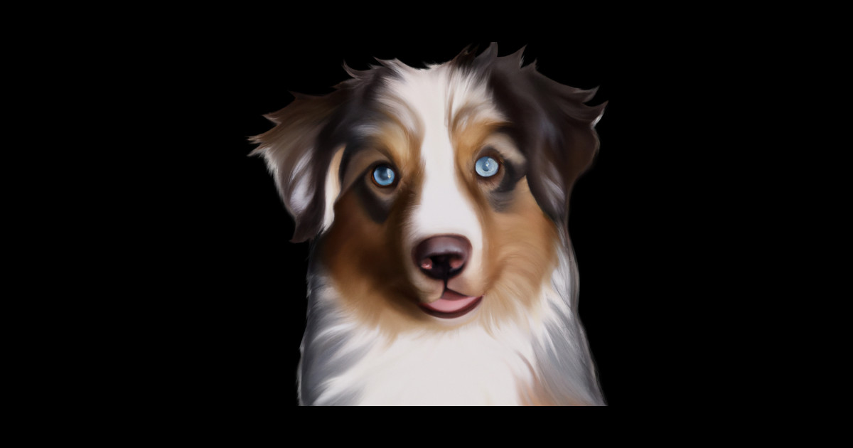 Cute Australian Shepherd Drawing - Australian Shepherd - Sticker ...