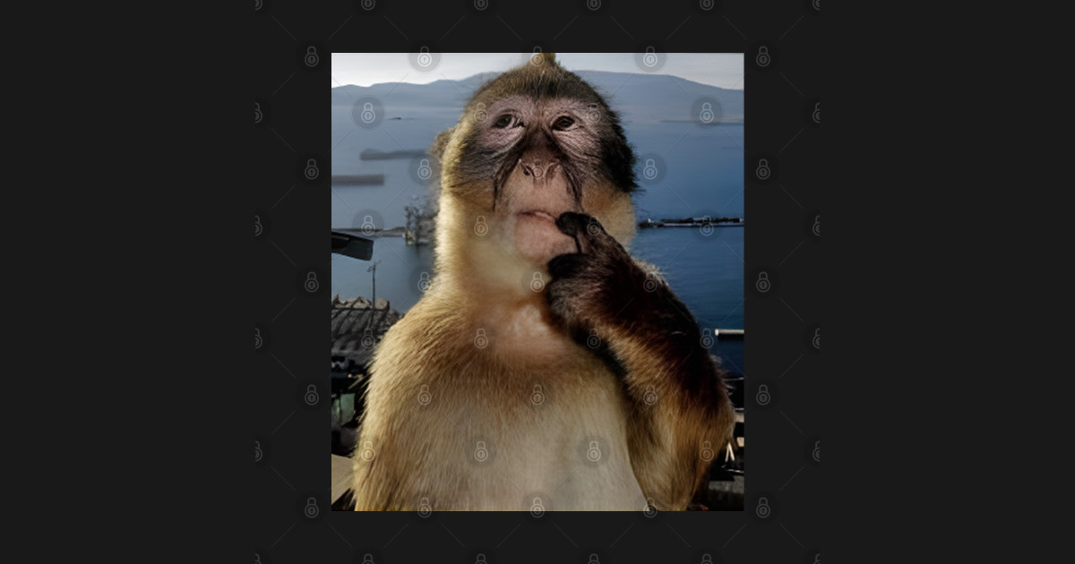 Funny Thinking Monkey Meme T-Shirt Curious Ape Brainrot Gift - Funny ...