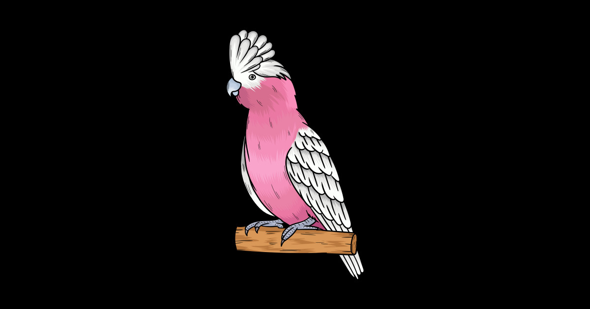 Galah bird cartoon illustration - Galah Bird Cartoon Illustration ...