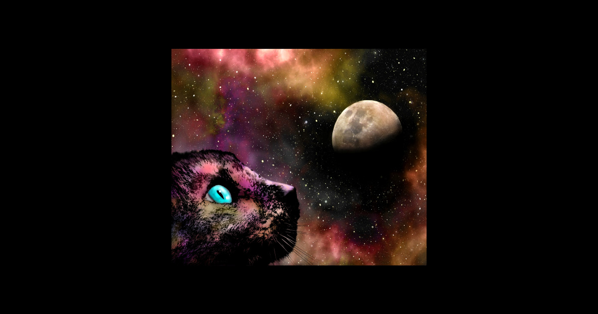 Siamese Cat 619 Planet Space - Cat - Sticker | TeePublic