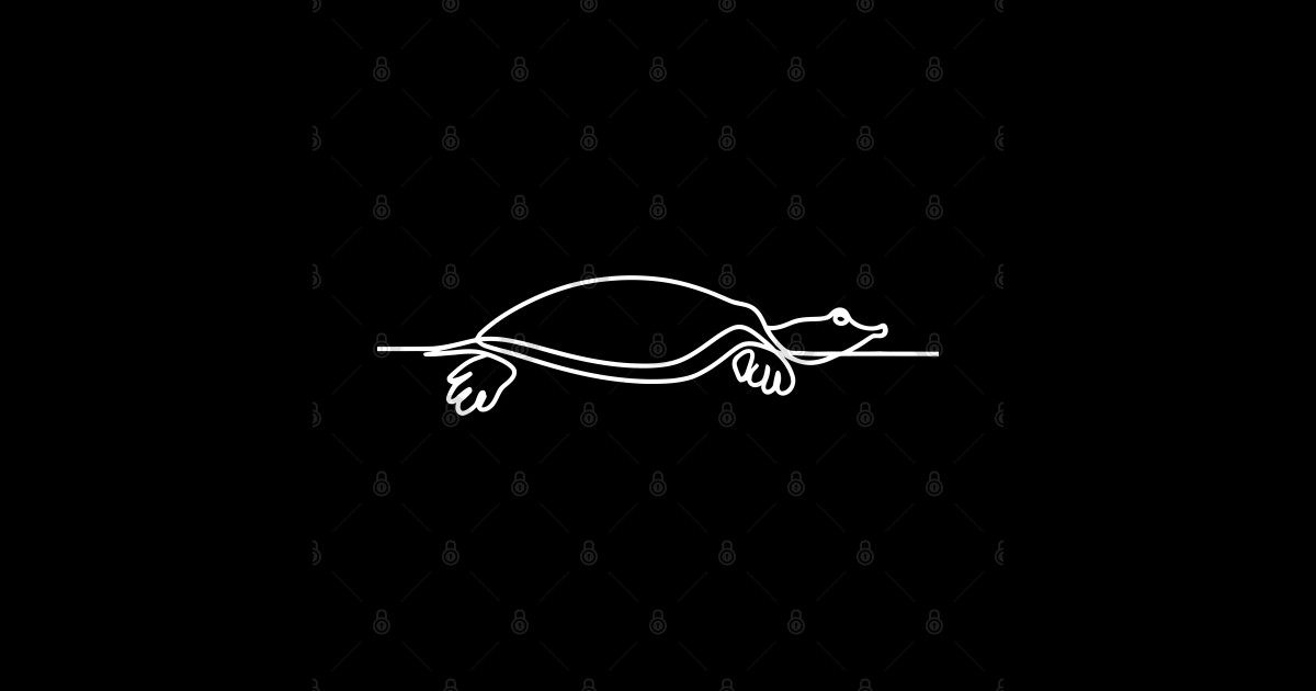 Softshell Turtle Line Drawing - Turtle - Sticker | TeePublic