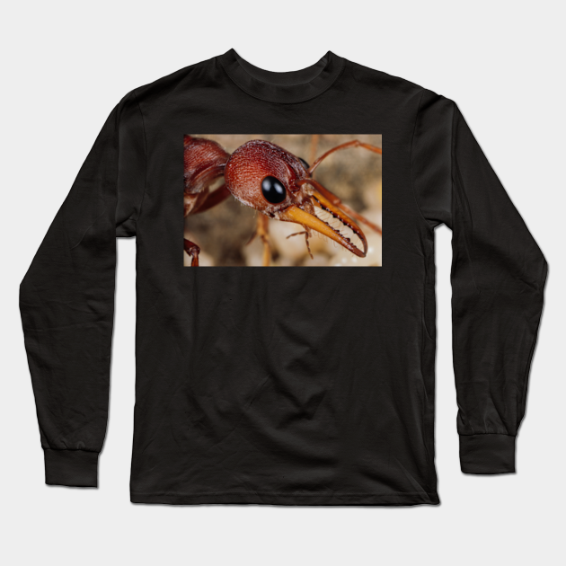 ant - Ant - Long Sleeve T-Shirt | TeePublic