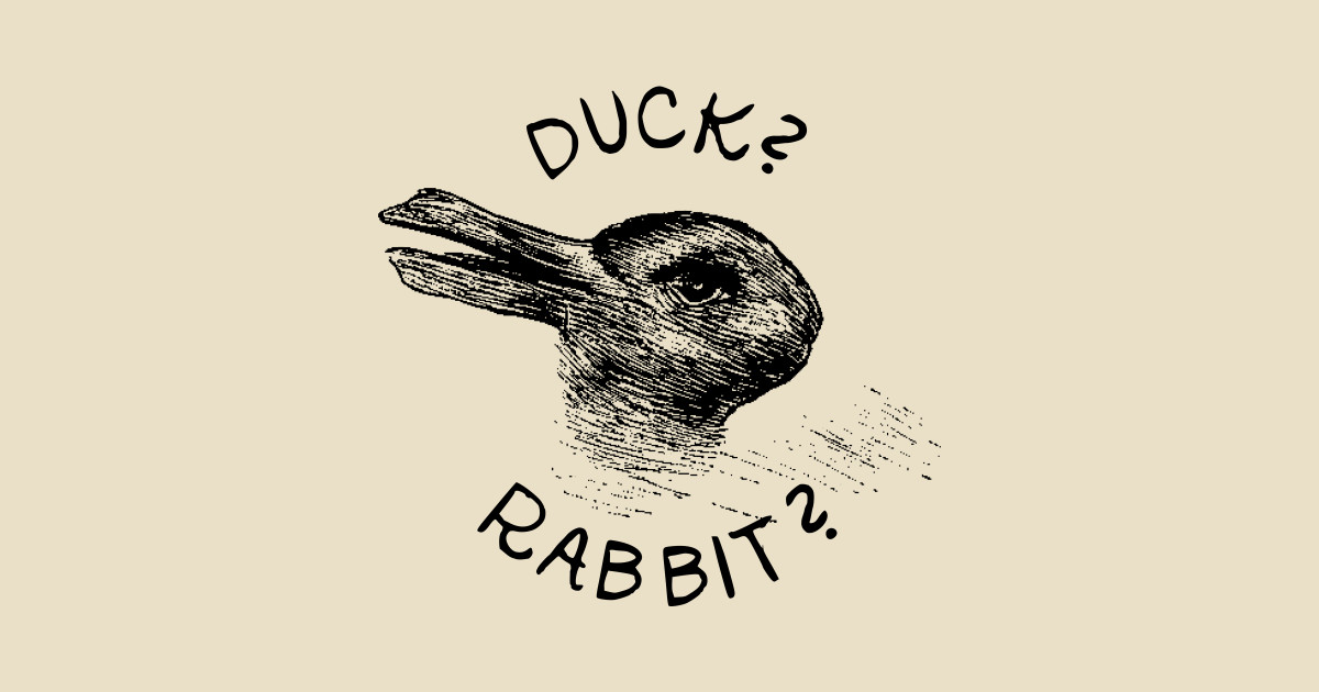 Duck or Rabbit? - Optical Illusion - T-Shirt | TeePublic