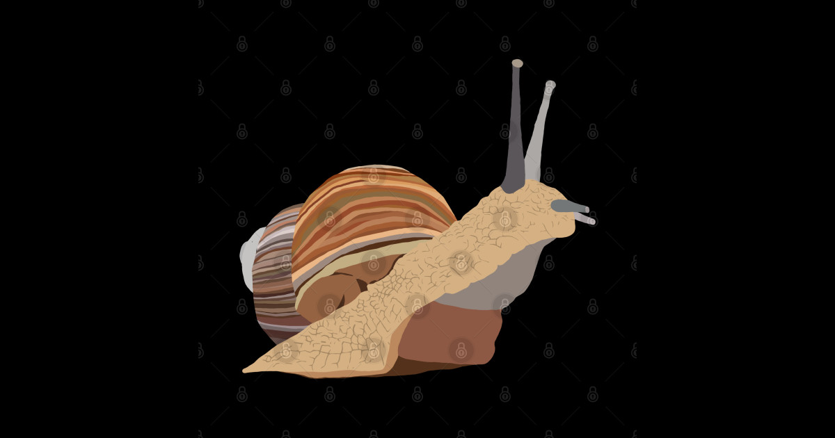 Snail - Snail - Sticker | TeePublic