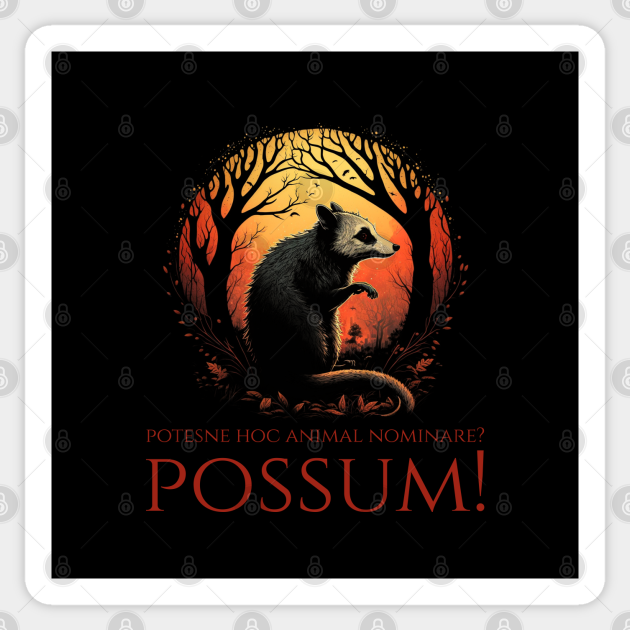 Potesne Hoc Animal Nominare? Possum! - Classical Latin Pun Meme ...